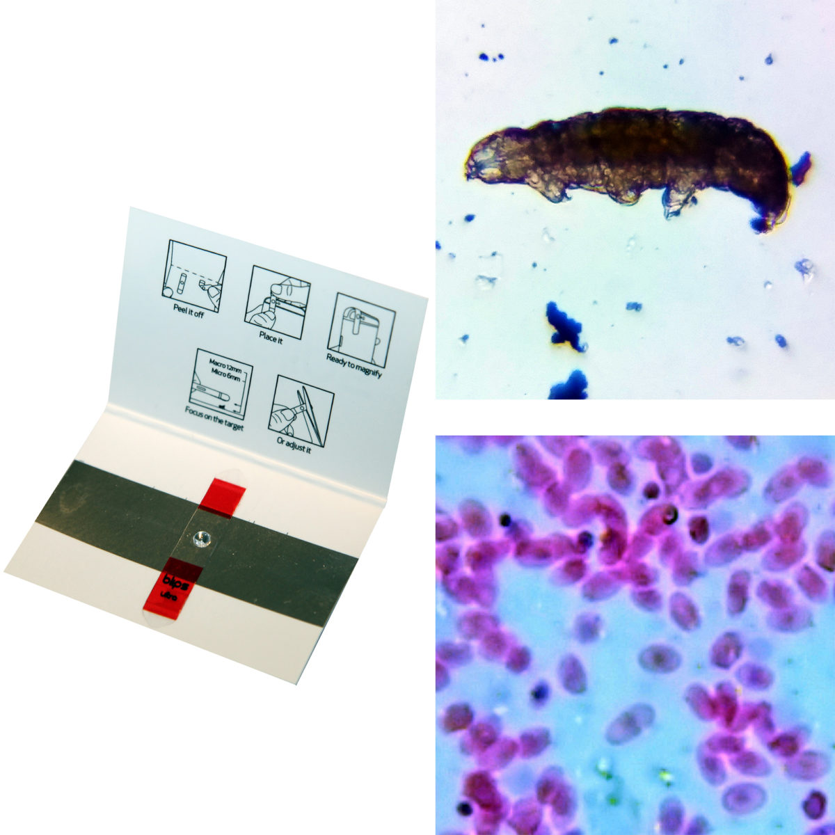 Blips - The thinnest portable lenses for smartphone: for ...