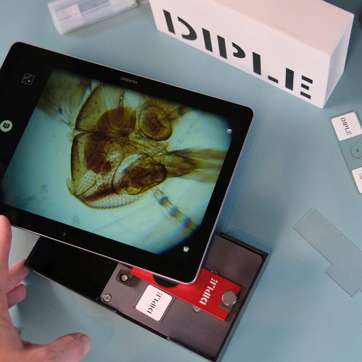 DIPLE RS - Entry level kit - SmartMicroOptics Smartphone microscope