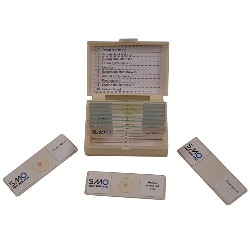 Plain Slides (x 50) + slides box - SmartMicroOptics