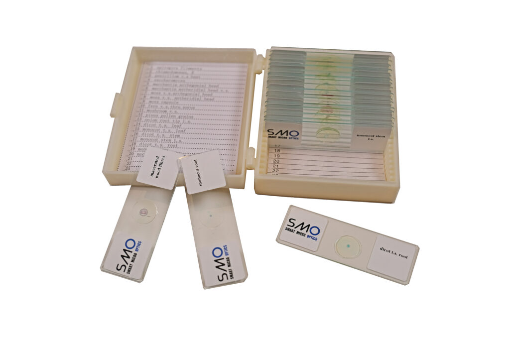 Micrometric ruler - SmartMicroOptics