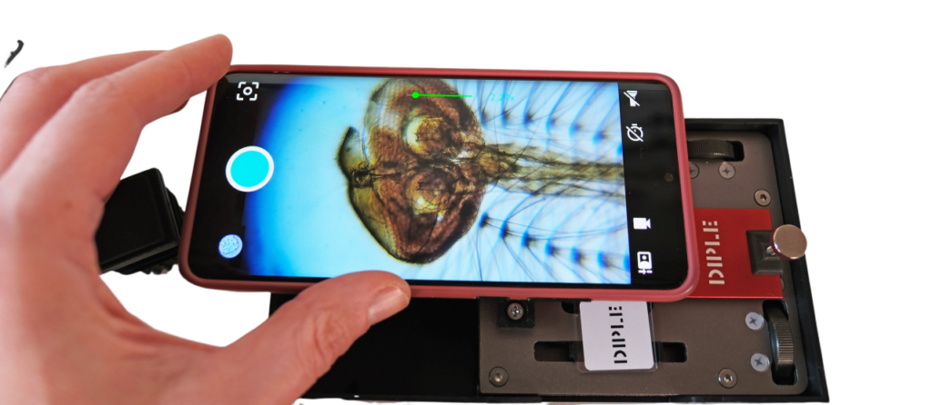 diple_tutorial_pic - SmartMicroOptics